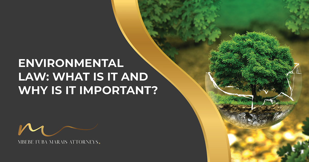 Environmental law: what is it and why is it important? - Mbebe & Associates
